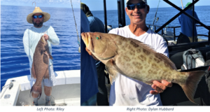 You Had Me at Yellow….The Yellow Groupers and How to Identify Them ...