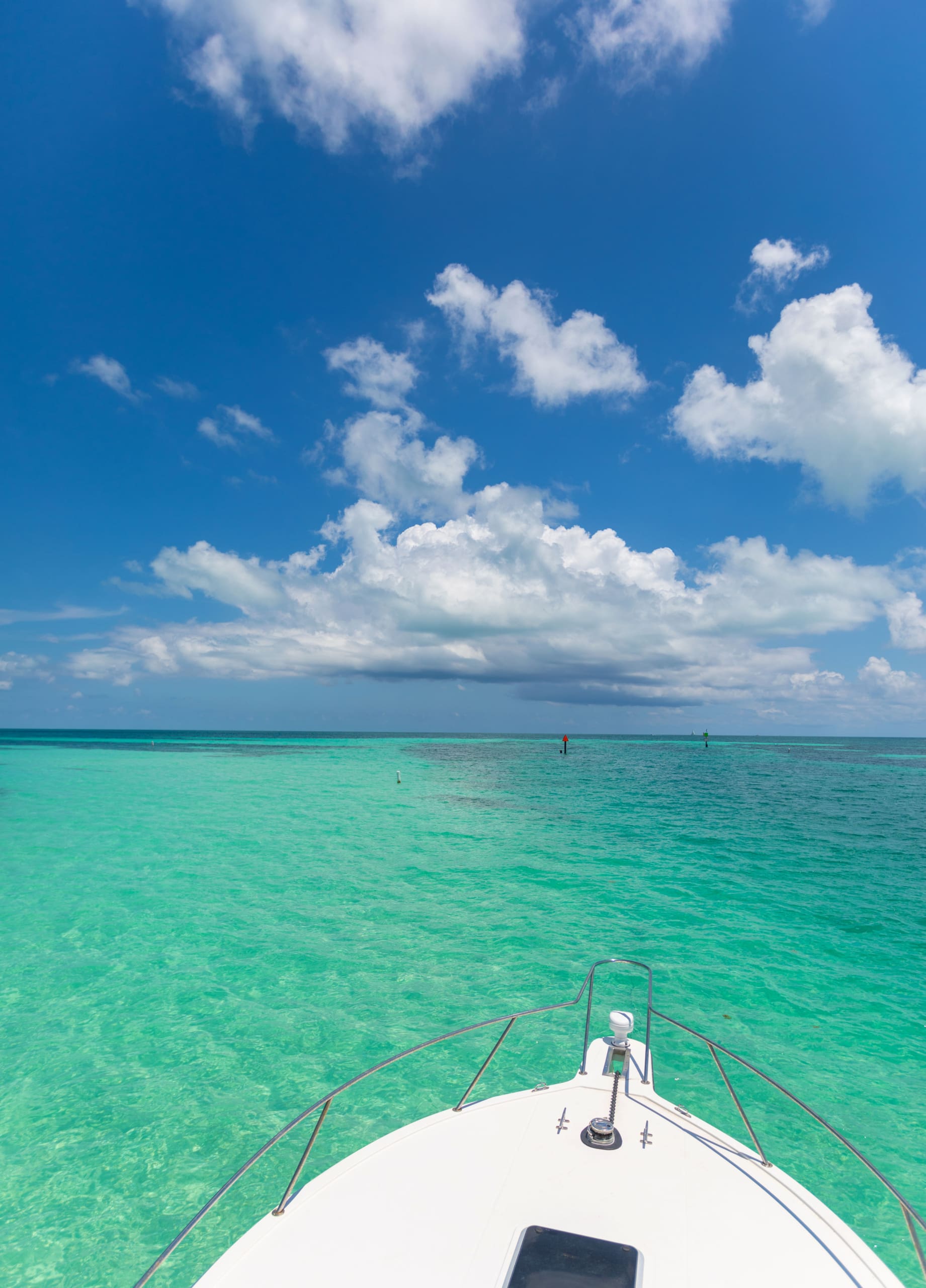 Gulf Council Hosts Virtual Meeting to Gather Input on Recreational Reef ...