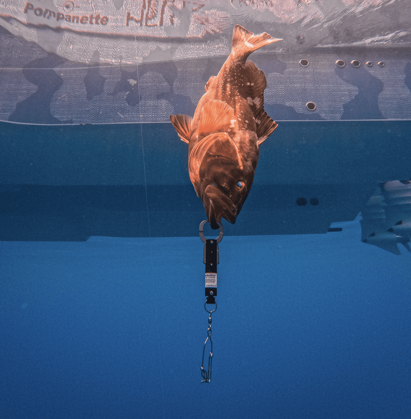 Gulf Council Recommends Continuing Requirement for Venting Tools or ...